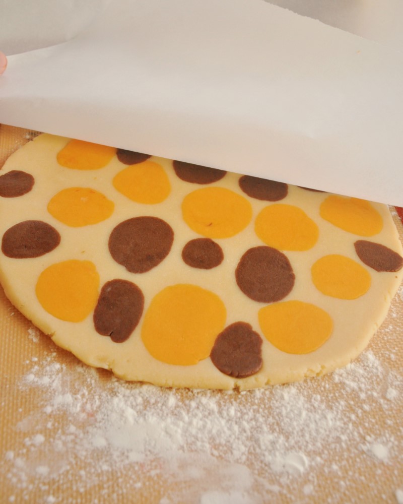 Super Cute Decorated Kitten Cookies | Lucia Paula