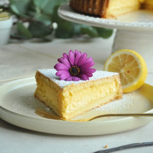 Easy and Delicious Sweet Ricotta Pie | Lucia Paula