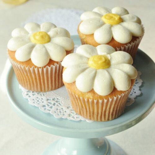 Super Cute Daisy Cupcakes | Lucia Paula