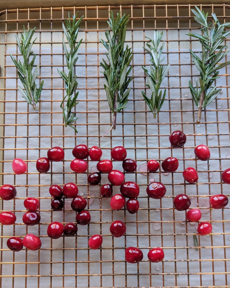How to make Sugared Cranberries and Rosemary | Lucia Paula