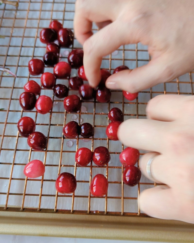 How to make Sugared Cranberries and Rosemary | Lucia Paula
